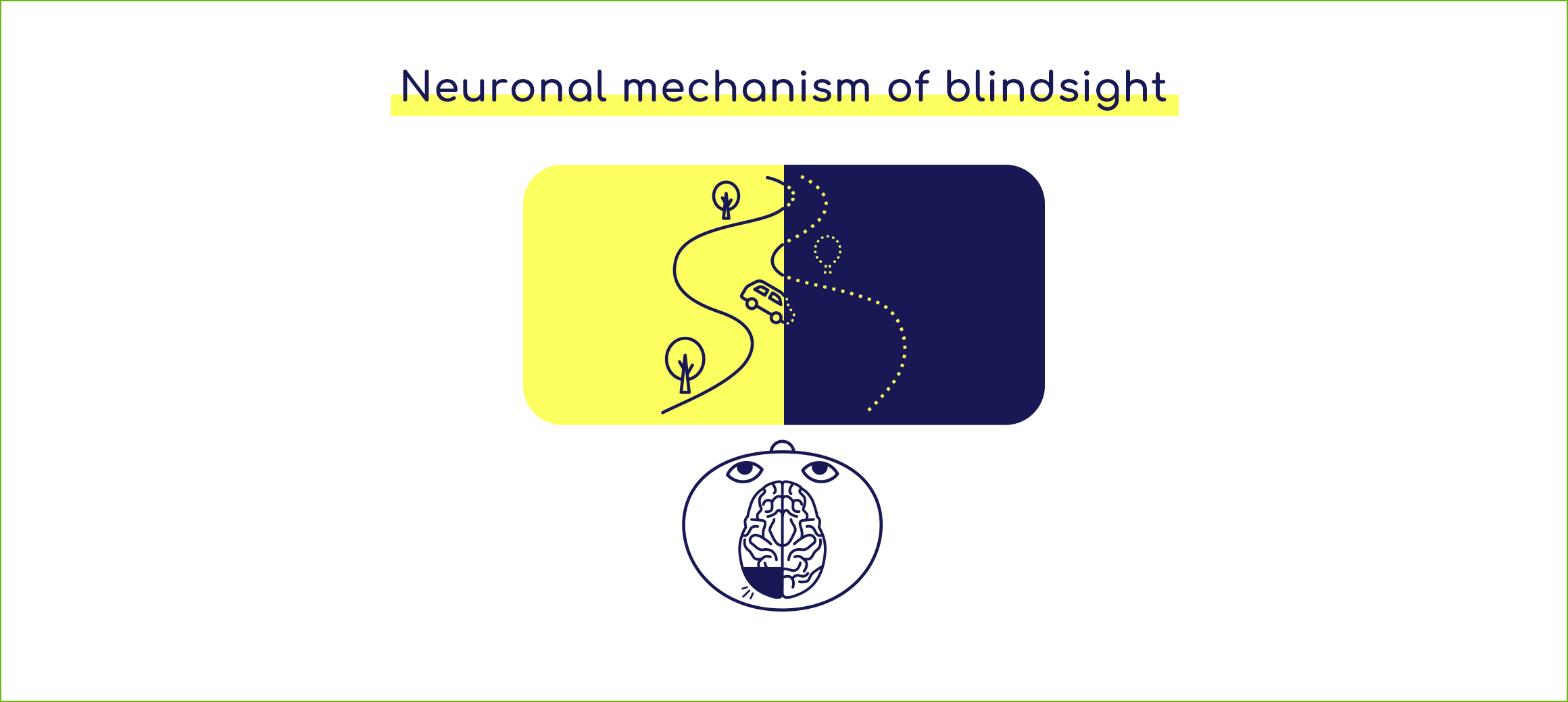 Division of Neurobiology and Physiology, Department of Neuroscience ...